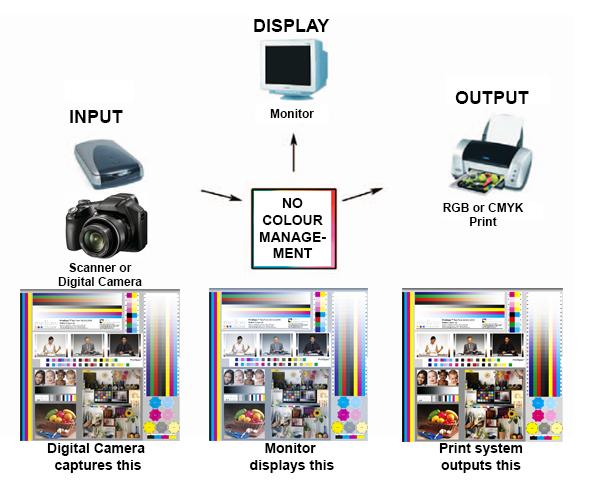 Colour Management: What Is It Important and Why You Need It