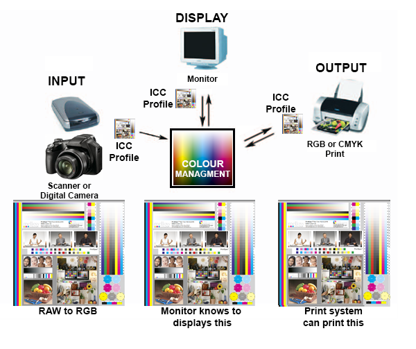 Colour Management: What Is It Important and Why You Need It